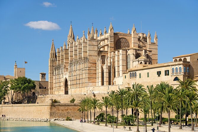 Private Tour: Palma De Mallorca Old Town, Palma Cathedral and Cruise - Guests Experiences and Recommendations