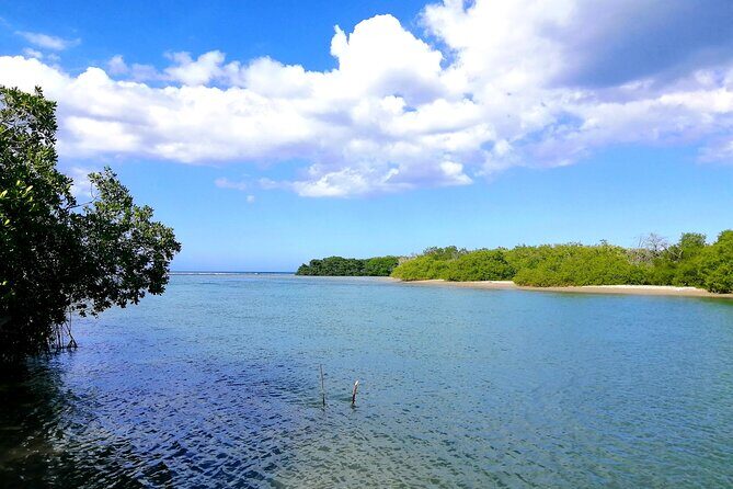 Private Tour Paradise Island & Manatee Sanctuary & Local Fish Bar - What Travelers Are Saying