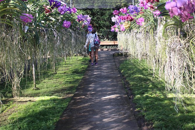 Private tour] Perfect day! Sticky waterfall + ChiangDao Cave + Wat BandenTemple - Who Will Love This Tour?