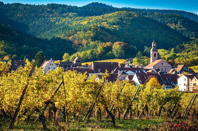 Private Tour: Picturesque Alsatian Villages & Wine Tasting With a Local Expert - Wine Tastings and Culinary Experiences