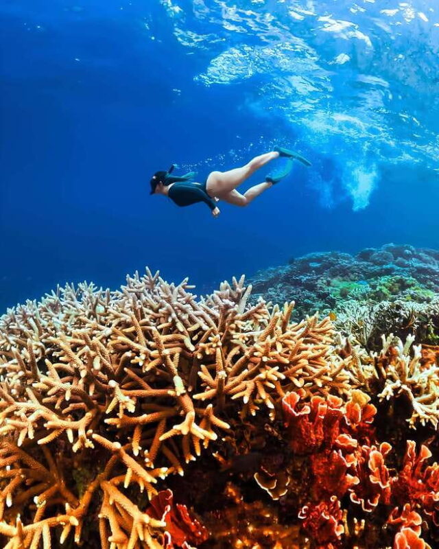 "Private Tour: Pink Beach Lombok Gili Islands & Sand Island" - Transport and Logistics