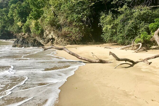 Private Tour Pirate's Bay from Tobago - A Detailed Look at the Private Pirate’s Bay Tour