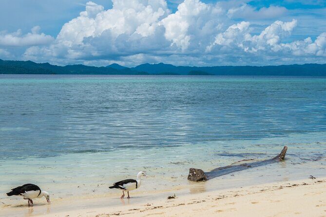 Private Tour Pirates of the Caribbean Port Royal & Beach - Key Points