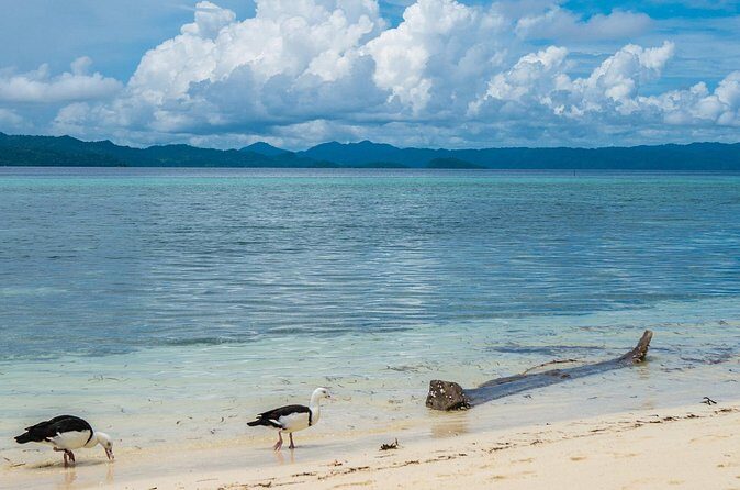 Private Tour Pirates of the Caribbean Port Royal & Beach - FAQ