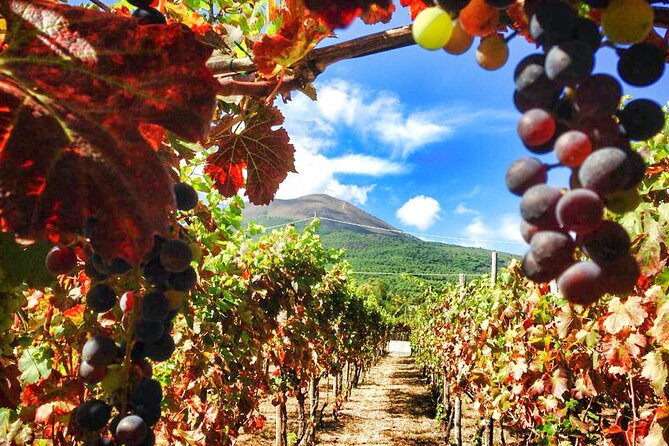 Private Tour: Pompeii and Mount Vesuvius With Wine Tasting - Health and Safety Considerations