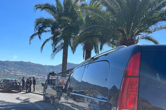 Private Tour Pompeii and Sorrento from Naples - Who Will Love This Experience?