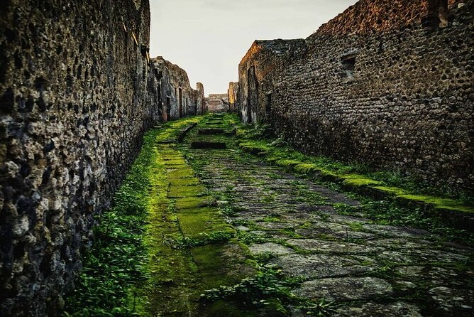 Private Tour Pompeii and Sorrento from Naples - FAQ