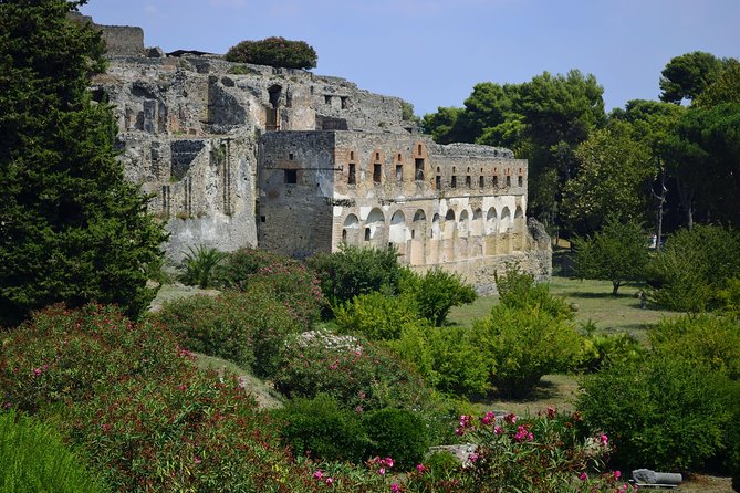 Private Tour: Pompeii Half-Day Trip From Naples - Pricing and Inclusions