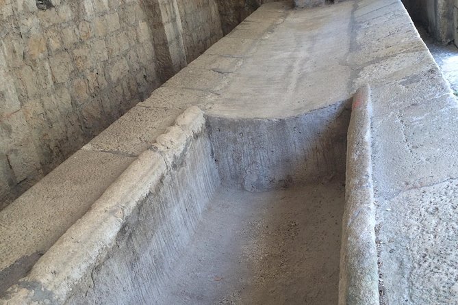 Private Tour Pompeii Herculaneum Vesuvius - An In-Depth Look at the Tour