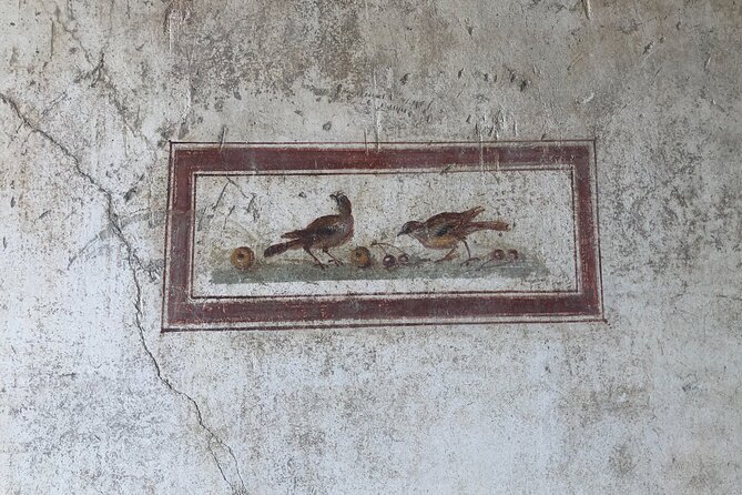 Private Tour: Pompeii Plus Herculaneum With Family Tour Option - What to Expect During the Tour