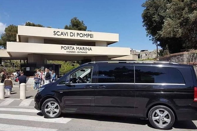 Private Tour: Pompeii Ruins From Rome in a Day - Traveler Reviews