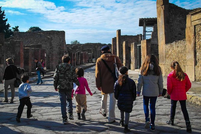 Private Tour: Pompeii Tour With Family Tour Option - Essential Information for Tour Participants
