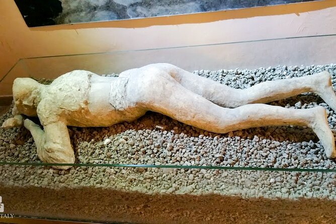 Private Tour: Pompeii Tour With Family Tour Option - Positive Feedback From Tour Participants