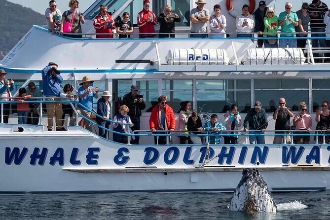 Private tour: Port Stephens, departing Newcastle - Whales! - Summary: Who Should Consider This Tour?