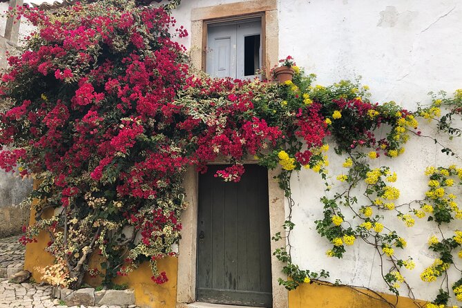 Private Tour: Porto to Lisbon: visit Aveiro,Coimbra,Fatima,Obidos - The Practical Side: Transportation, Timing, and Value