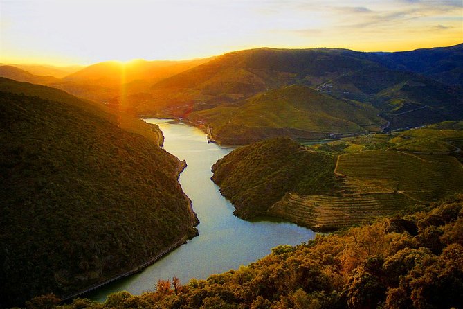 Private tour Portugal 6 days from Lisbon - Day 4: Discovering Porto’s Charms