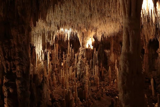 Private Tour : Prehistoric Cave and Castle by EXPLOREO SARLAT - Discovering the Château De Beynac