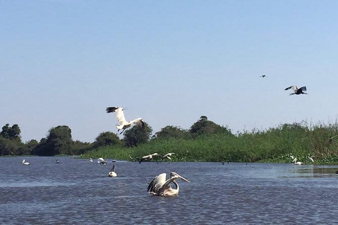 Private Tour Prek Toal Bird Sanctuary Off Beaten Track - Introduction