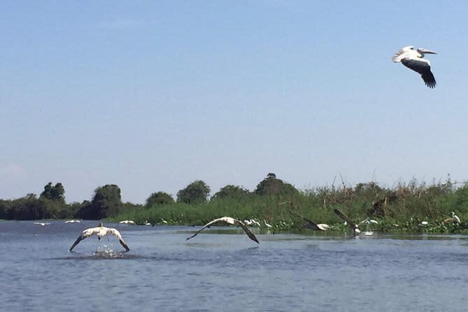Private Tour Prek Toal Bird Sanctuary Off Beaten Track - Who Will Appreciate This Tour?