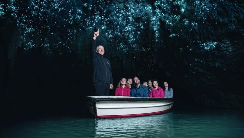 Private Tour: Private Tour: Waitomo Caves (Flexible) - Key Points