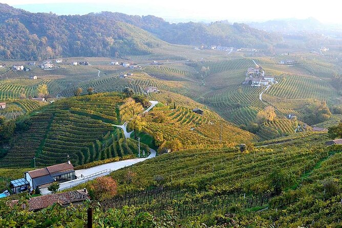 Private Tour: Prosecco Wine Tasting Day Trip With Lunch From Venice - End Point and Return