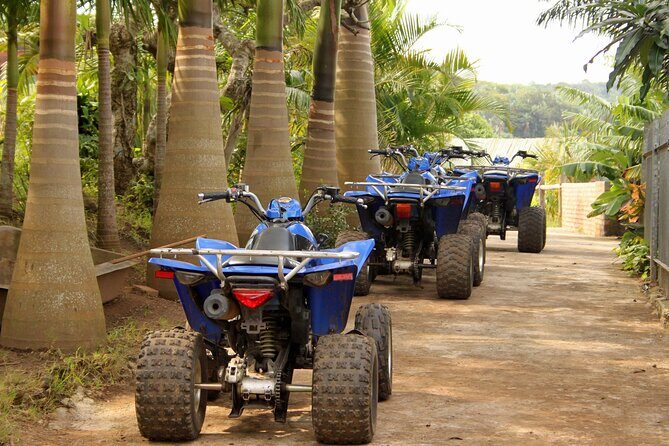 Private Tour Quads ATV Saint-Martin - Analyzing the Experience: What You Can Expect