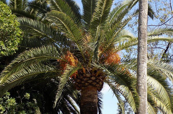 Private Tour Queen Elizabeth Botanic Park & Pedro St James Castle - Final Thoughts