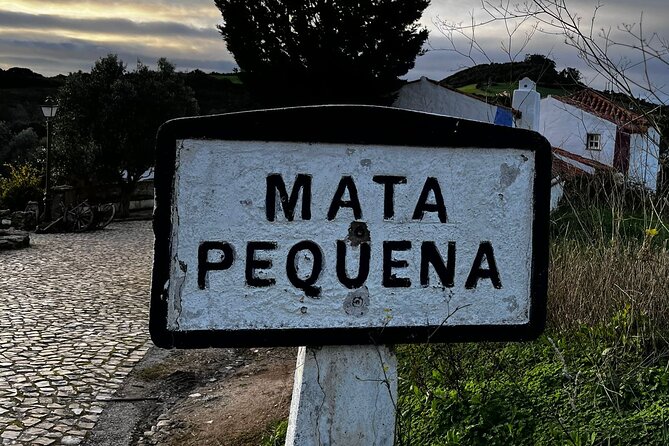 Private Tour - Queluz Palace and Mafra Convent C/Pick at the Hotel - Culinary Experiences and Recommendations