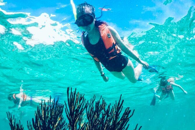 Private Tour Reefs and Corals Puerto Morelos Snorkel Lunch - A Closer Look at the Itinerary