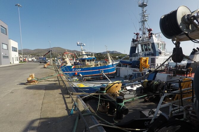 Private Tour: Ring of Beara from Killarney. - The Balance of Cost and Value