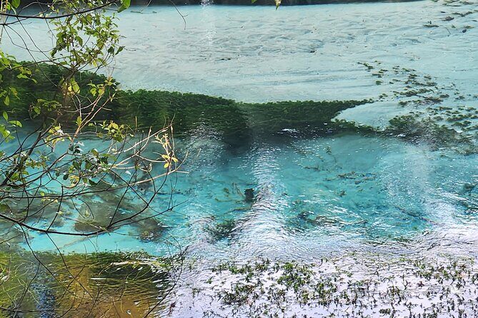 Private Tour Rotorua + Blue springs + WaiOtapu + Redwood forest - A Closer Look at the Itinerary and Its Highlights