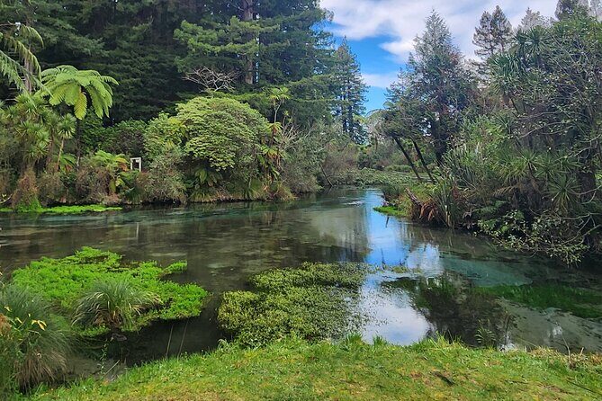Private Tour Rotorua + Blue springs + WaiOtapu + Redwood forest - Who Will Love This Tour?
