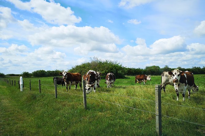 Private Tour: Rouen and Giverny Day Trip From Bayeux - Booking and Cancellation Policy
