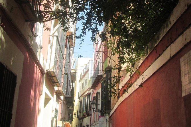 Private Tour Royal Palace+Cathedral+Old Jewish Neighbourhood - Inclusions and Accessibility