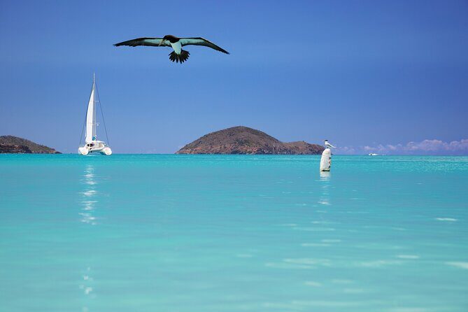 Private Tour Sail in Virgin Islands National Park - Why Choose This Tour?