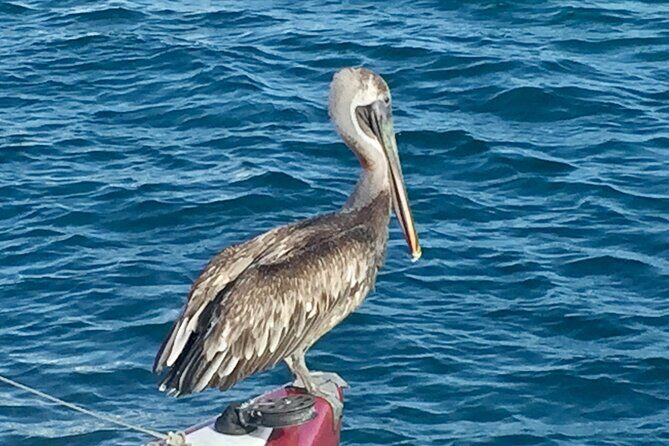 Private Tour Sail in Virgin Islands National Park - FAQ