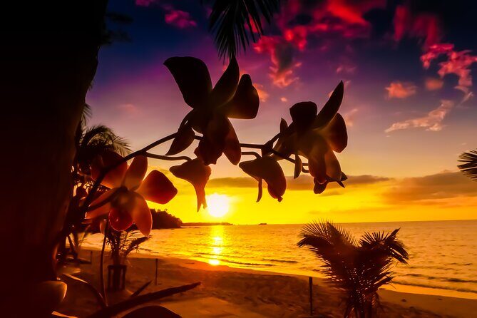 Private Tour Saint Lucia Street Party - Who Is This Tour Best For?