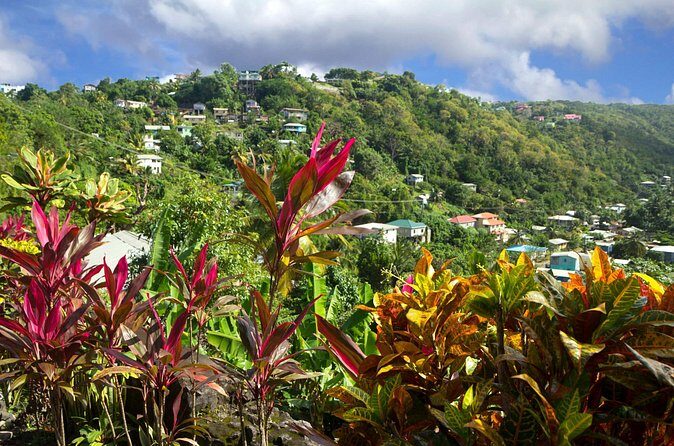 Private Tour Saint Lucia Unique Cultural Immersion Experience - Final Summary