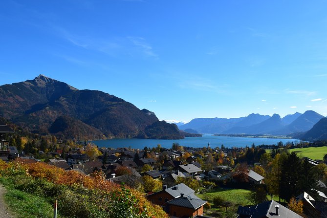 Private Tour: Salzburg Lake District and Hallstatt From Salzburg - Guide Expertise and Customer Feedback
