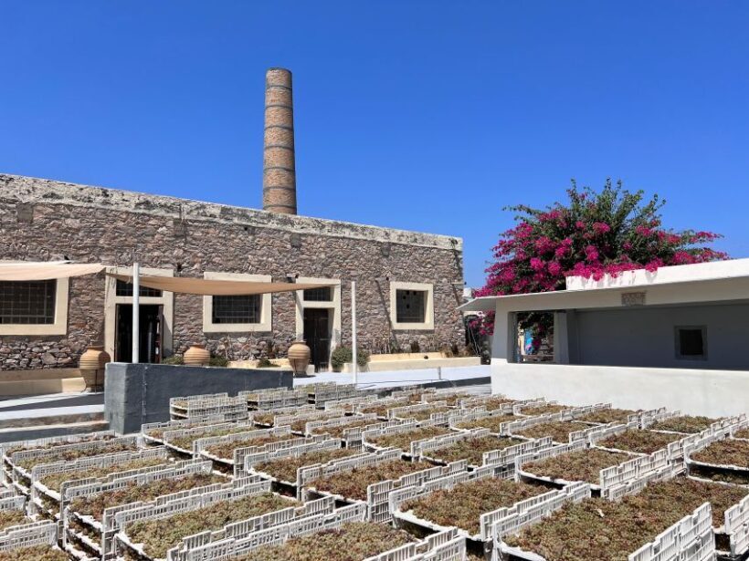Private tour - Santorini sightseeing day tour - The Sum Up