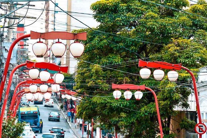 Private Tour São Paulo Included Main Attractions - 6 HOURS - Tour Experience and Highlights
