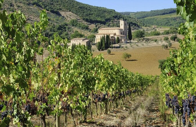 PRIVATE TOUR: Savor Exquisite Wines: Brunello & Nobile Wine Tour - Key Points