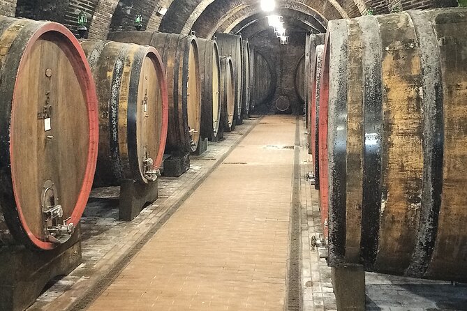 PRIVATE TOUR: Savor Exquisite Wines: Brunello & Nobile Wine Tour - Final Thoughts