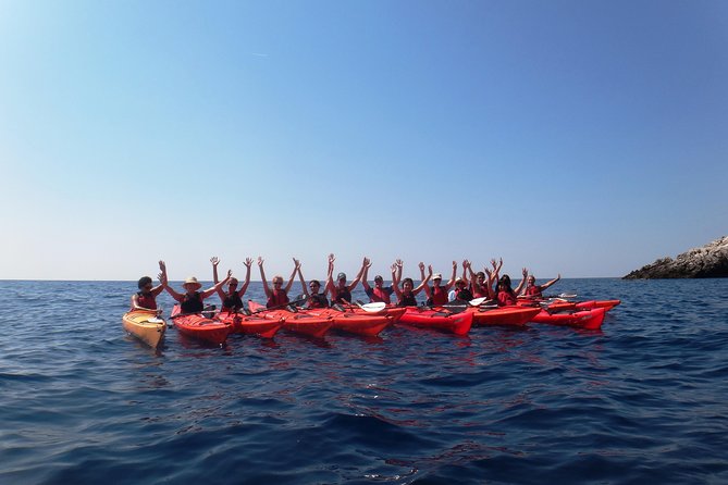 Private tour: Sea Kayaking & Snorkeling to Green Cave on Sipan island from Lopud - The Bottom Line: Who Should Consider This Tour?