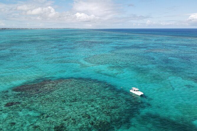 Private Tour Seaside scavenger hunt, Hunt for conch - Key Points