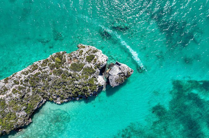 Private Tour Seaside scavenger hunt, Hunt for conch - Final Thoughts