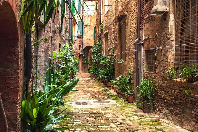 Private Tour: Secret Siena Walking Tour - Customizing Your Tour to Your Interests