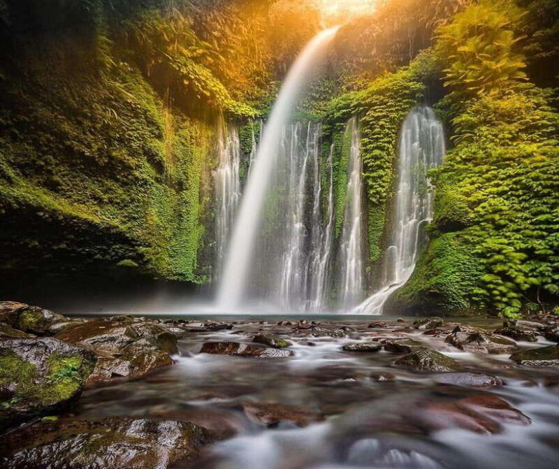 "Private Tour: Sendang Gile, Tiu Kelep Waterfall & Sembalun" - Transport and Group Size