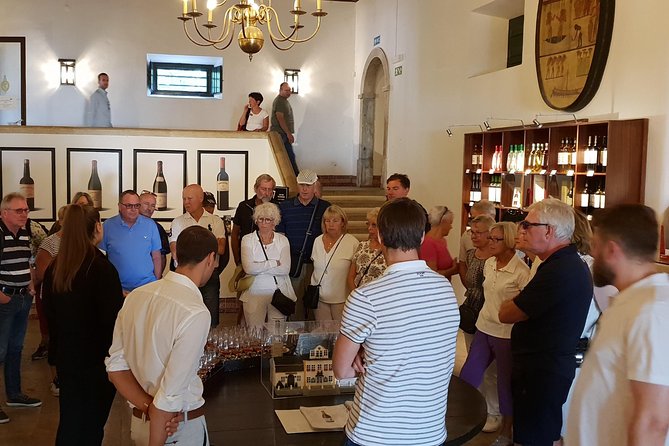 Private Tour Sesimbra Blue Coast - Accessibility and Transportation Details