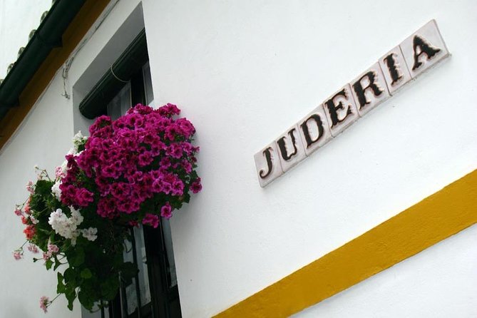 Private Tour: Seville City Tour (Cathedral, Royal Alcázar and Santa Cruz) - Who Will Love This Tour?